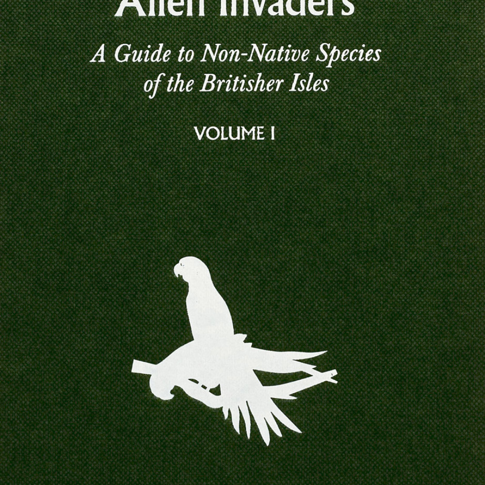 Alien Invaders | Sara De Bondt